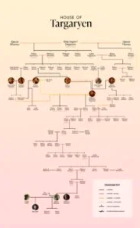 House of the Dragon : Voici l'arbre généalogique des Targaryen