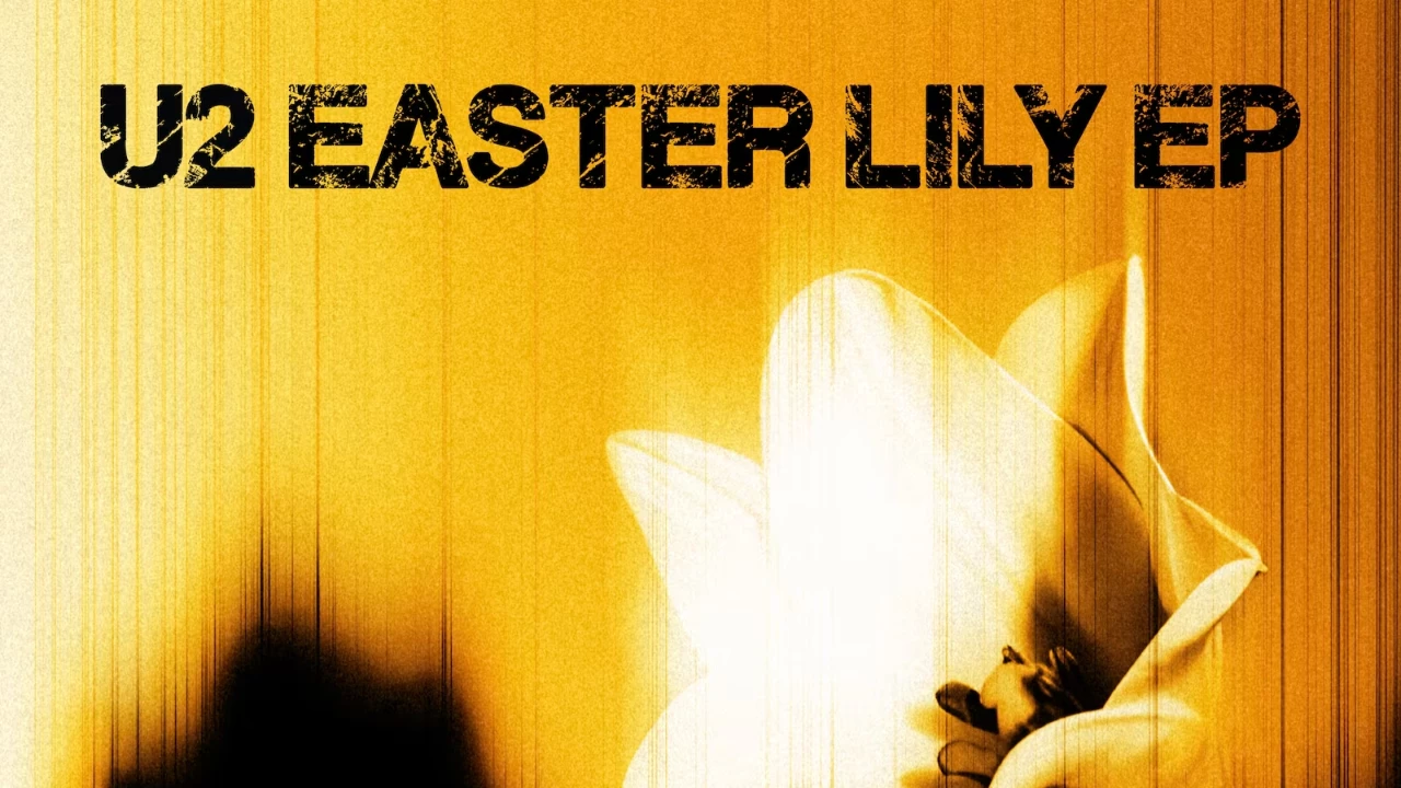 U2 frappe encore : “Easter Lily”, un virage intime avant la tempête du ...